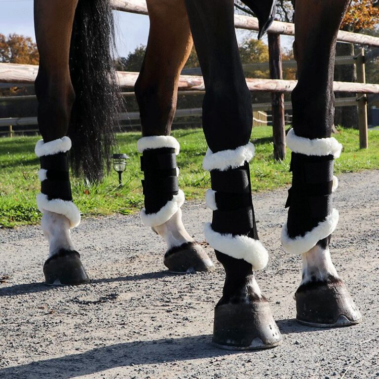 Protec Cheval : Guide Essentiel pour Sécuriser Votre Équidé